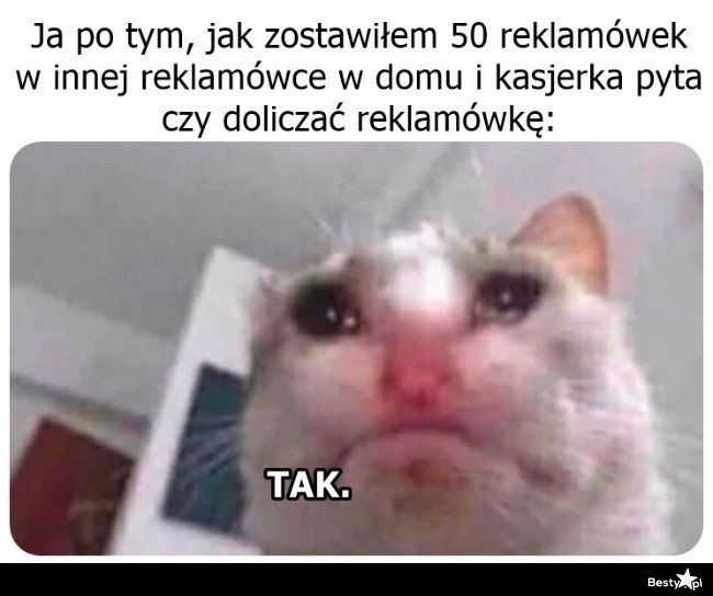 Najlepsze MEMY o życiu | Głos Wielkopolski