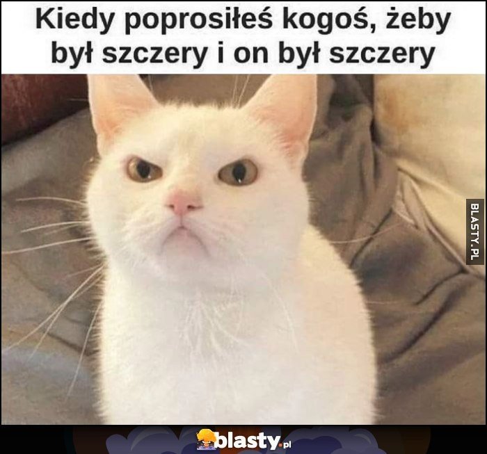 Najlepsze MEMY o życiu | Głos Wielkopolski