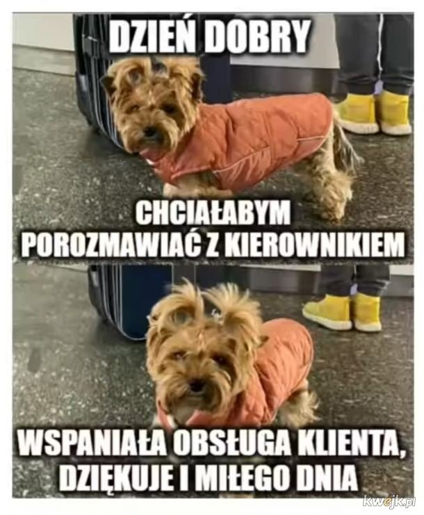 Memy o Klientach | Głos Wielkopolski