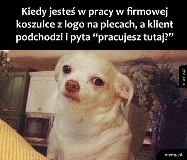 Memy o Klientach | Głos Wielkopolski