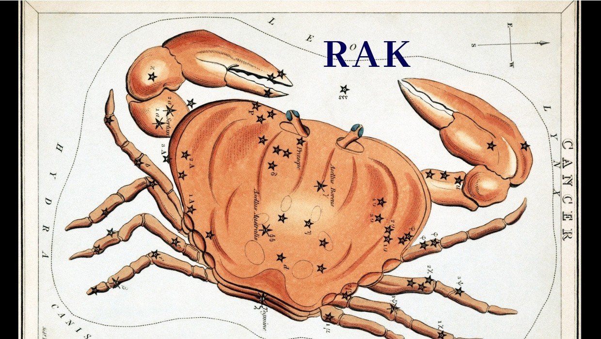 Horoskop dla Raków na czerwiec 2026. Sprawdź, co czeka Cię w tym ...
