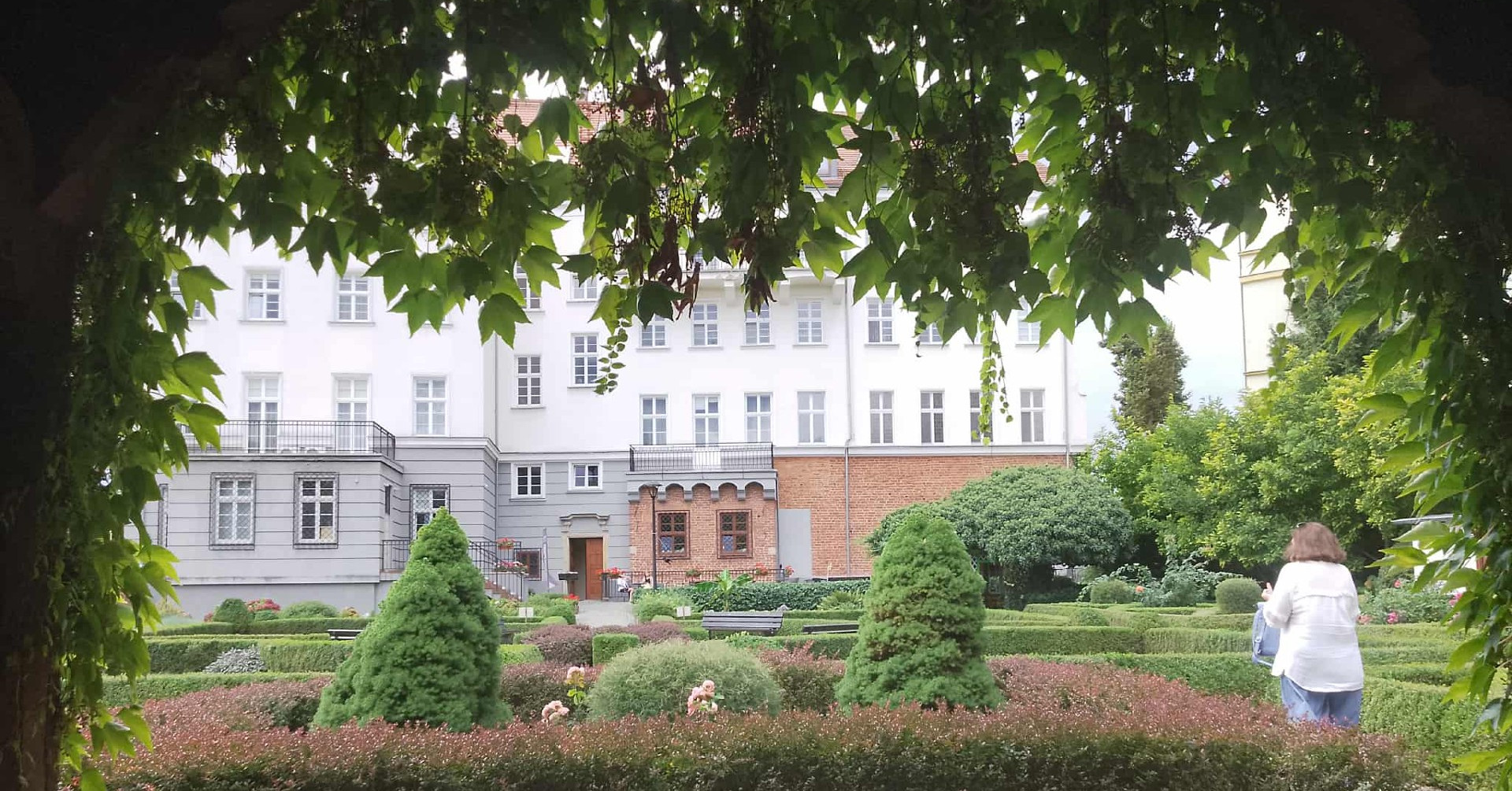 To jest tajemniczy ogród we Wrocławiu. Prawdziwa oaza spokoju i zieleni ...