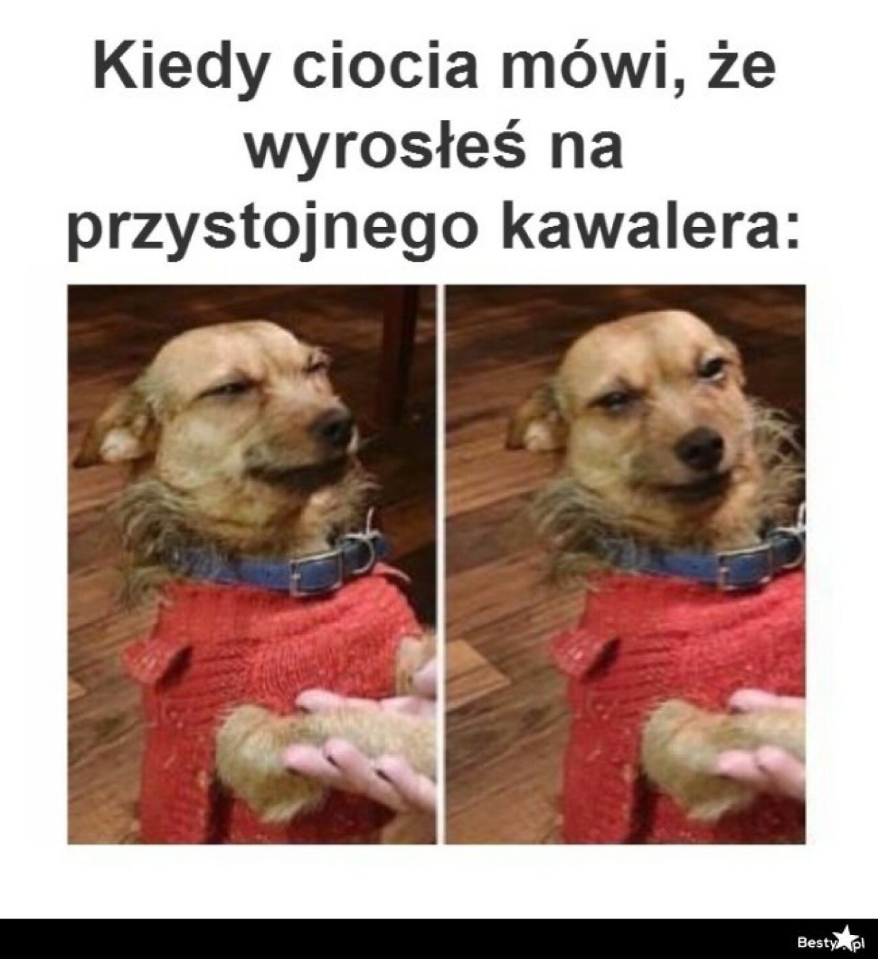 Najlepsze MEMY o cioci | Głos Wielkopolski