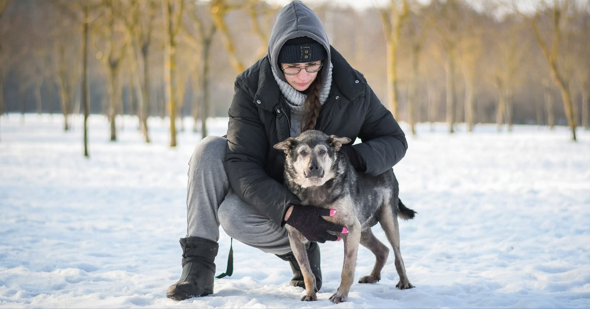 Psy ze Schroniska dla Bezdomnych Zwierząt w Radomiu czekają na adopcje ...