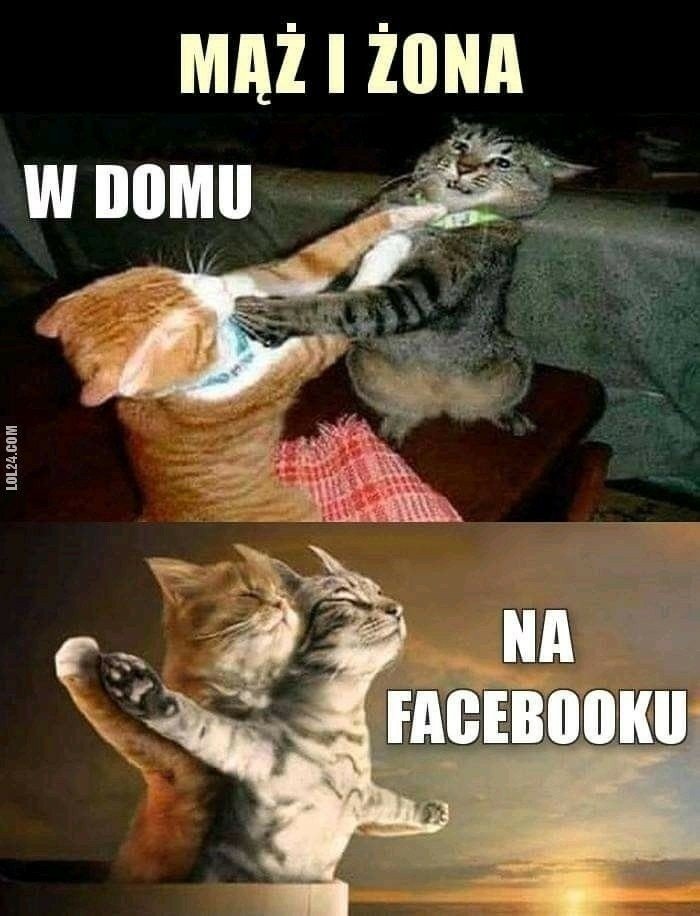 Najlepsze memy o małżeństwie | Głos Wielkopolski