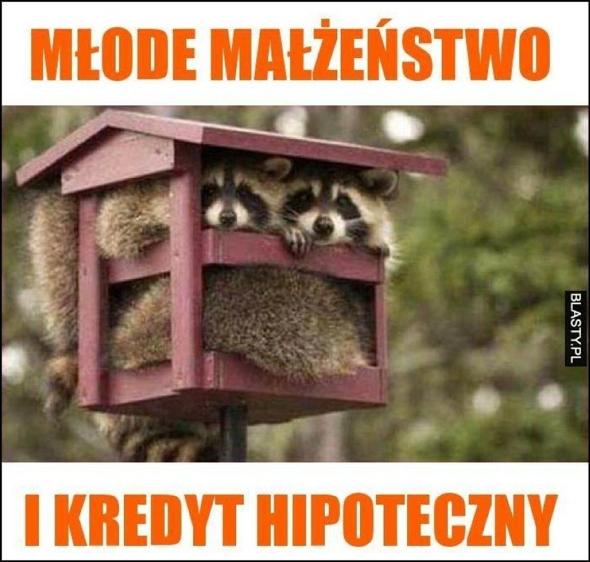 Najlepsze memy o małżeństwie | Głos Wielkopolski