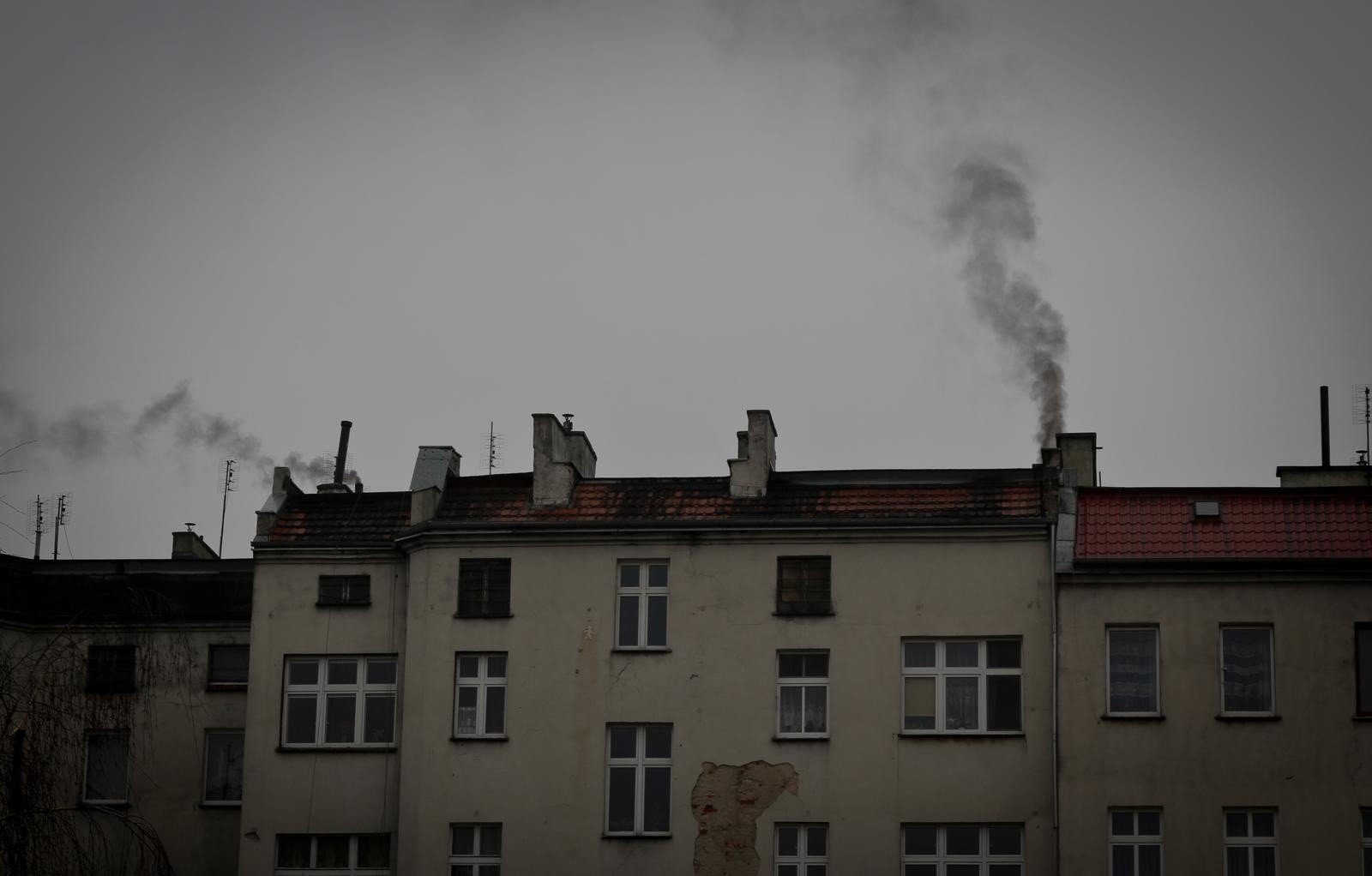 Czy 10.03.2026 w woj. świętokrzyskim jest smog? Sprawdź stężenie PM2.5 ...