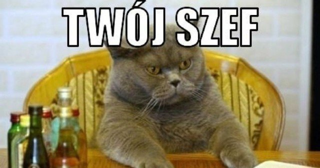 Dziś Dzień Kierownika. Zobacz najśmieszniejsze memy o szefach! | Lublin ...
