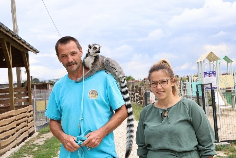 Kamila Głogiewicz, właścicielka zagrody Alpaki Tulu Tulu w Koniecznie ...