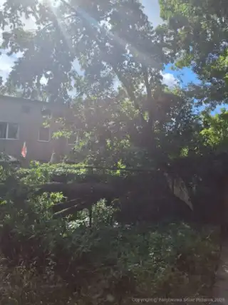 Silny wiatr nad regionem. Strażacy interweniowali już ponad 50 razy ...
