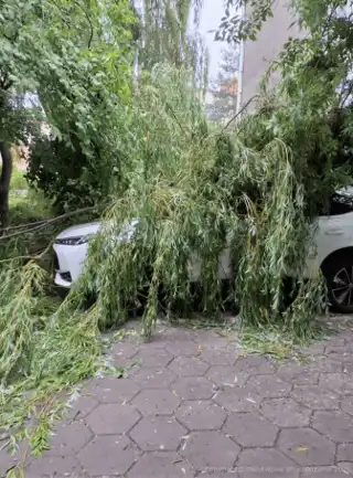Silny wiatr nad regionem. Strażacy interweniowali już ponad 50 razy ...