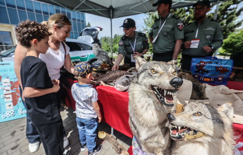 Moc Odkrywców - niesamowity piknik naukowy w Rzeszowie. Zobacz zdjęcia ...