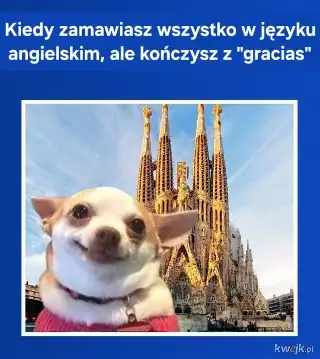 Kiedy zamiast "tak" odpowiesz "si". Zobacz najlepsze MEMY o Hiszpanii ...