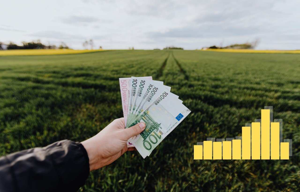 Kurs euro do przeliczenia dopłat 2025 zdecyduje o tym, ile pieniędzy ...