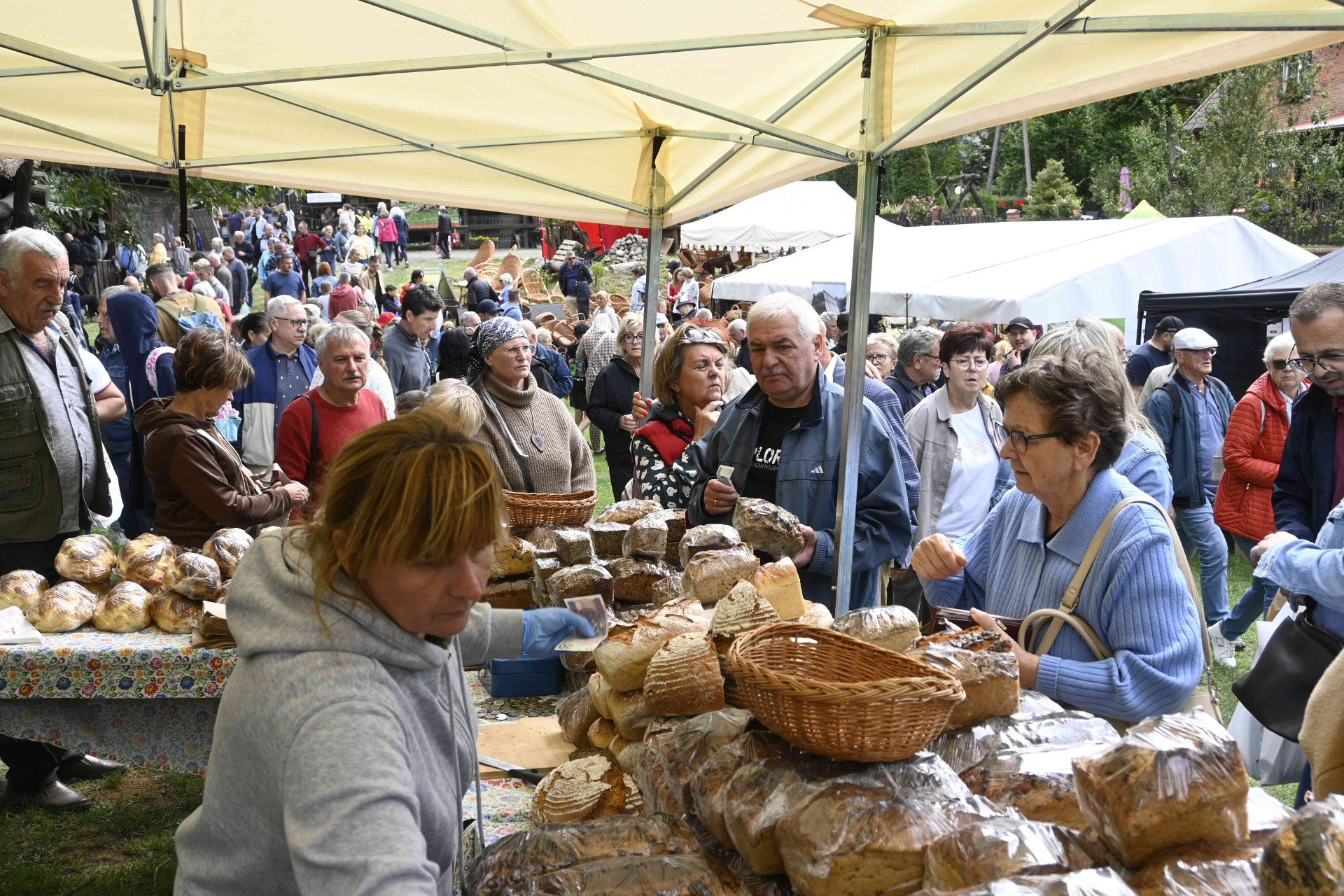 Festiwal Smaku w Grucznie 2025 - zdjęcia z 23.08.2025 | Gazeta Pomorska