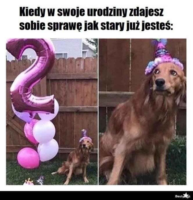 Najlepsze MEMY URODZINOWE | Głos Wielkopolski