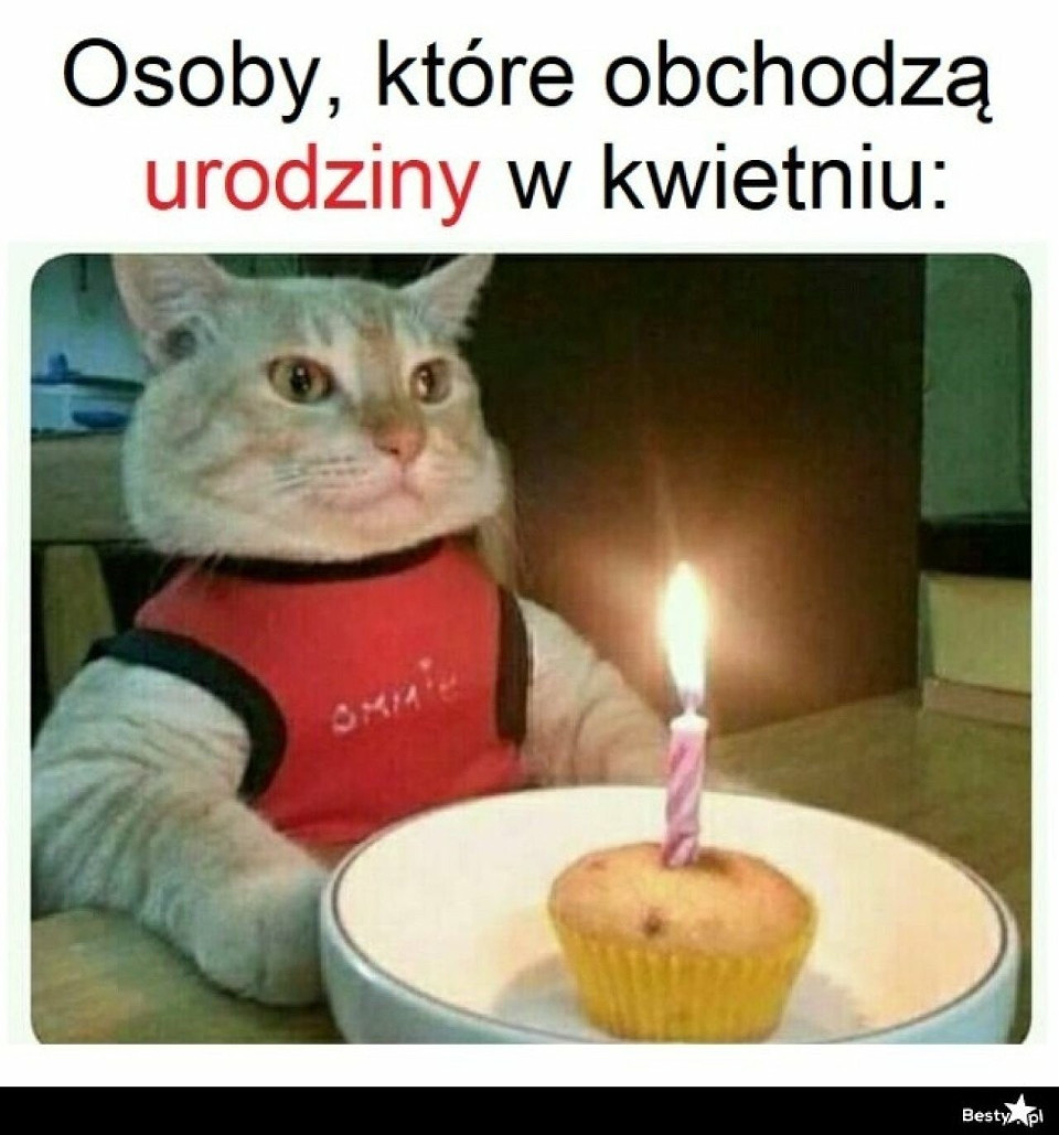 Najlepsze MEMY URODZINOWE | Głos Wielkopolski