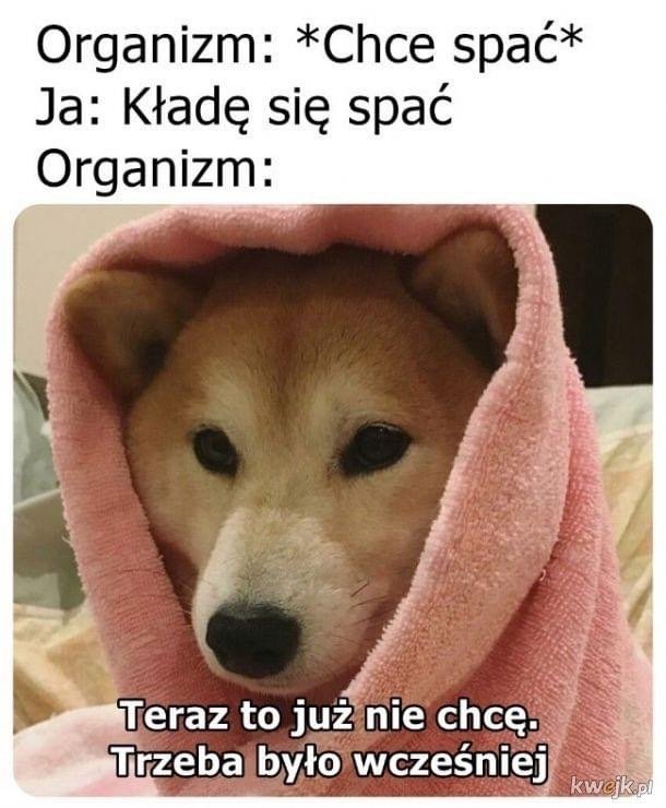 Najlepsze MEMY o życiu | Głos Wielkopolski