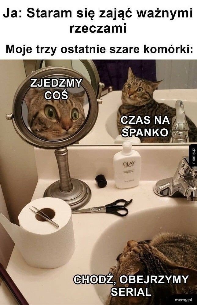 Najlepsze MEMY o życiu | Głos Wielkopolski
