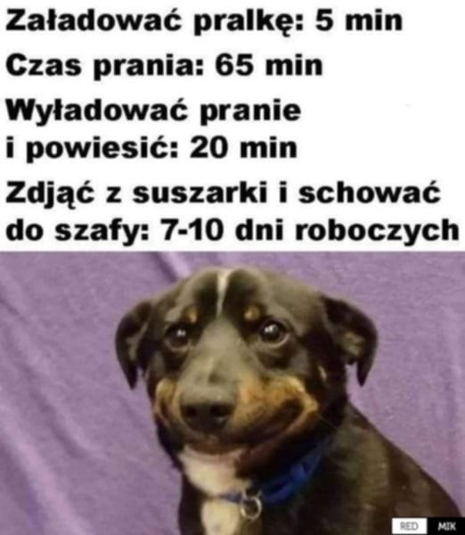 Najlepsze MEMY o życiu | Głos Wielkopolski