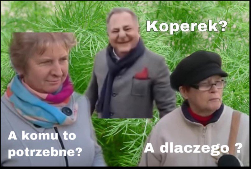 Mówią o nim "Król Polski". Zobacz najlepsze MEMY o Robercie Makłowiczu ...