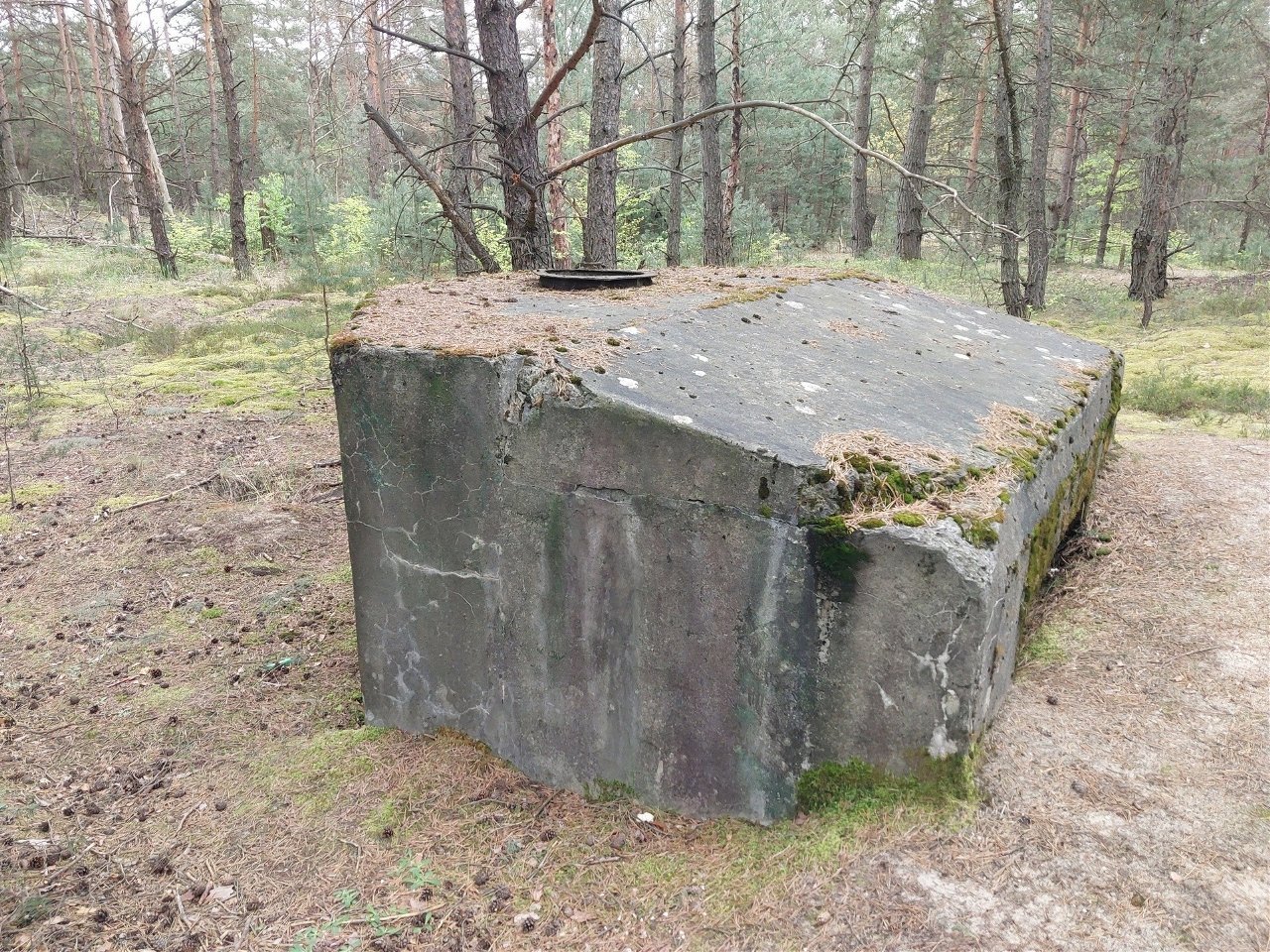 Bunkry w Przemkowskim Parku Krajobrazowym | Gazeta Wrocławska