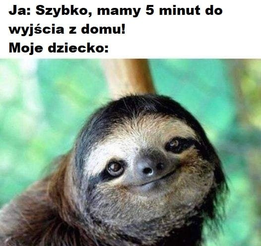 Oto najlepsze memy o dzieciach. One rozbawią każdego! | Głos Wielkopolski
