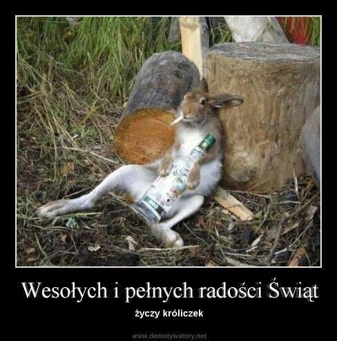 Święta, święta i po świętach! Oto najlepsze MEMY Wielkanocne. One ...