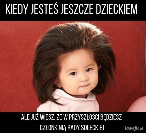 Najlepsze memy o sołtysach | Głos Wielkopolski