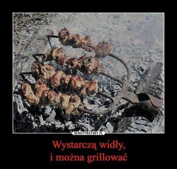 Majówka i grill w roli głównej! Memy | Głos Wielkopolski