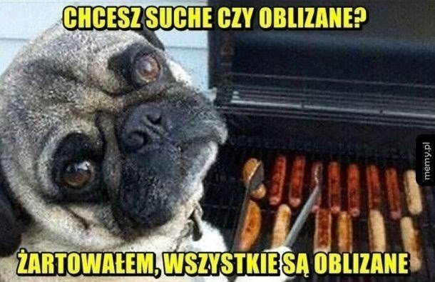 Majówka i grill w roli głównej! Memy | Głos Wielkopolski