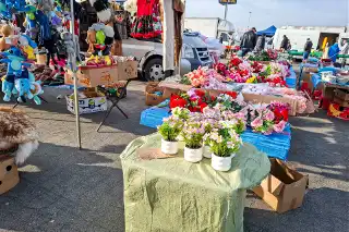 Pchli targ przy M1 w Poznaniu tętnił życiem w Dzień Kobiet. Słoneczna ...
