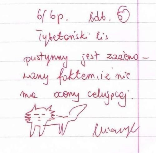 To prawdziwe hity ze szkolnych sprawdzianów i klasówek. Rozbawią ...