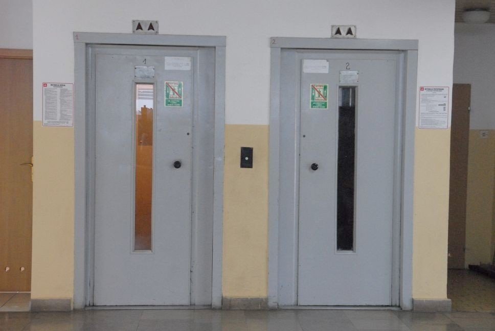 Tragiczny wypadek w windzie w Stalowej Woli. Pies udusił się na smyczy ...