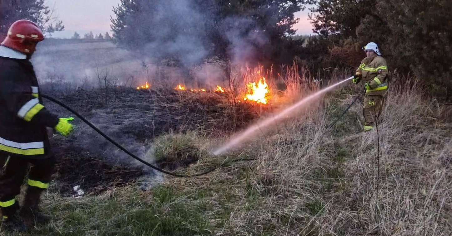 Strażacy z gminy Solec nad Wisłą gasili pożar traw | Echo Dnia Radomskie