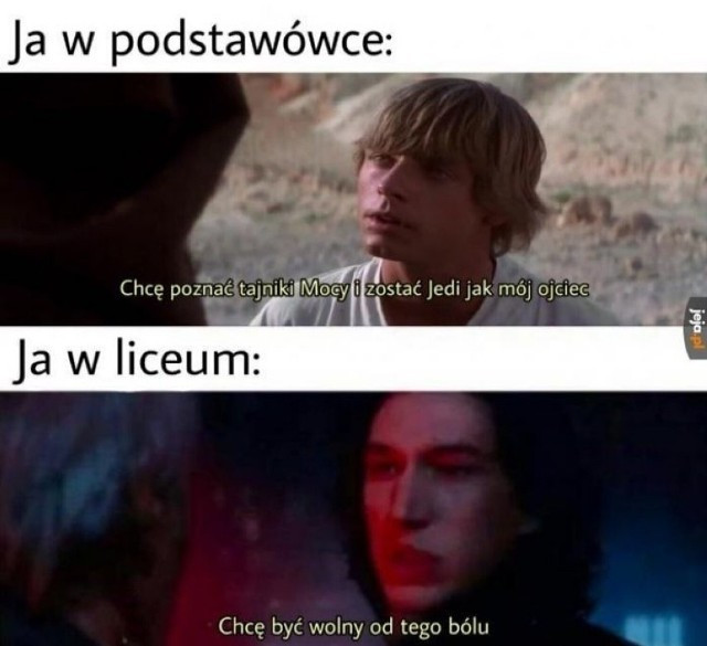 Najlepsze memy o liceum i licealistach | Głos Wielkopolski