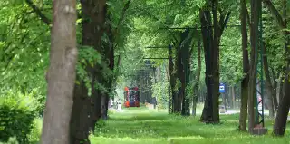 To najpiękniejsza tramwajowa trasa w Polsce. To jak wjazd do magicznego ...