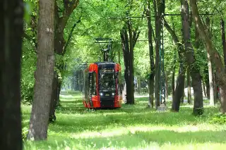 To najpiękniejsza tramwajowa trasa w Polsce. To jak wjazd do magicznego ...
