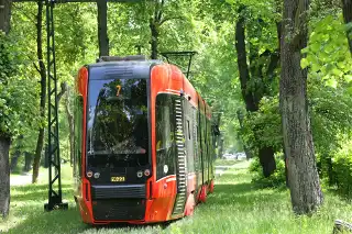 To najpiękniejsza tramwajowa trasa w Polsce. To jak wjazd do magicznego ...