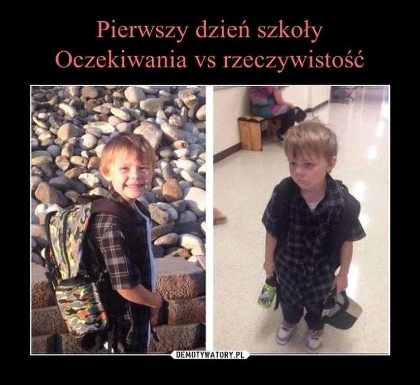 MEMY o szkole, które rozbawią do łez. Oto najlepsze żarty o szkole! [27 ...