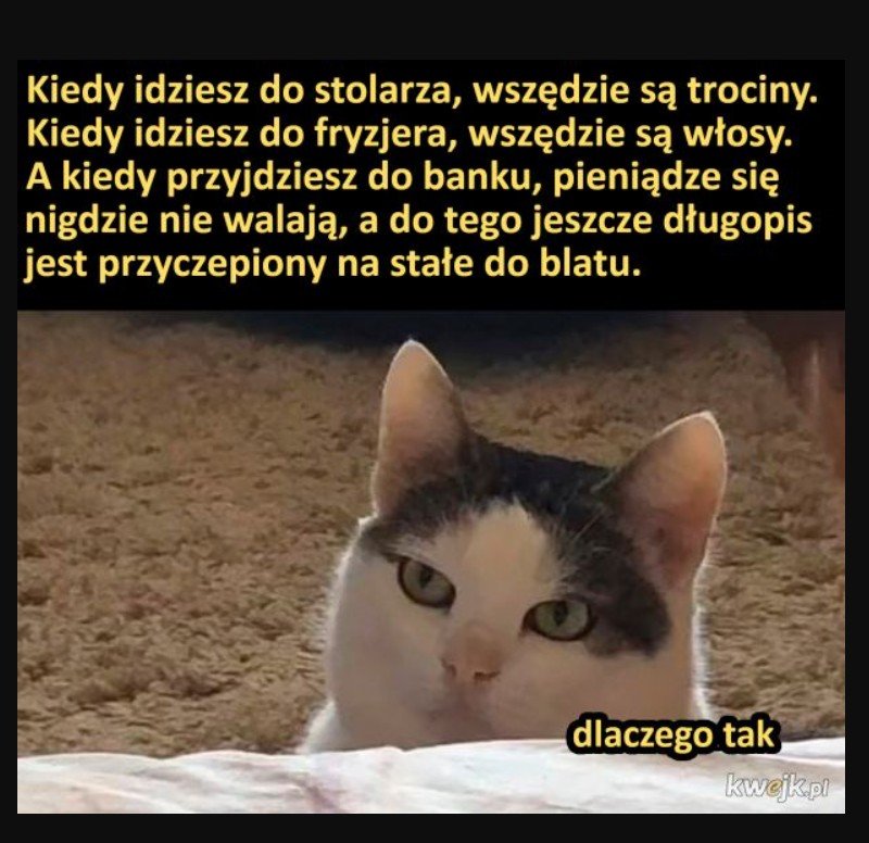 Oto najlepsze memy o stolarzach. Tego o nich nie wiedziałeś! Zobacz ...