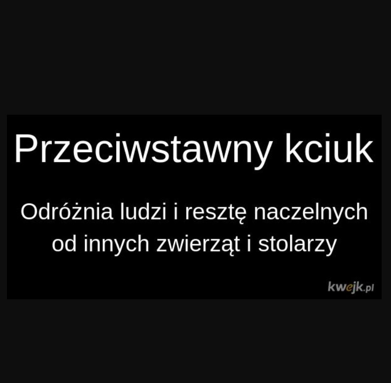 Memy o stolarzach po których ma się zakwasy ze śmiechu. Takich jeszcze ...