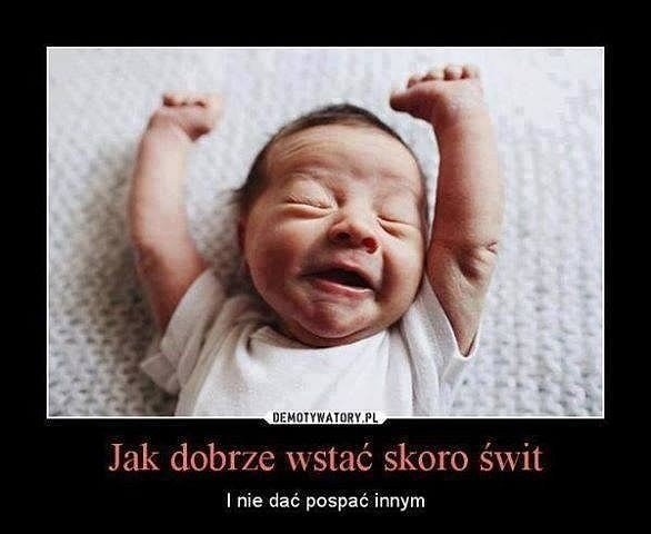 Memy o dzieciach | Głos Wielkopolski