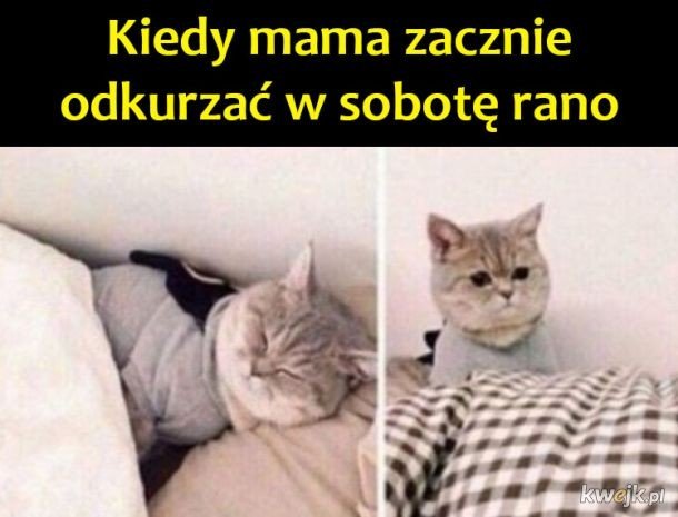 To najlepsze memy o mamach i ich złotych myślach. Śmiech gwarantowany ...