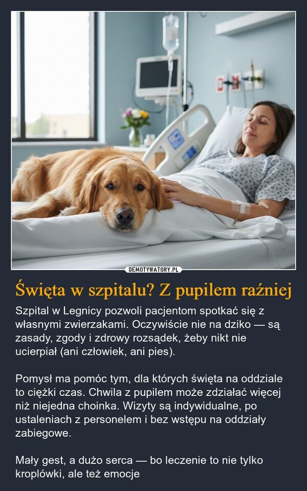 Memy o lekarzach – najśmieszniejsze żarty, obrazki i memy o służbie ...