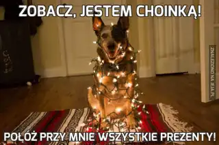 Choinka właśnie zemdlała! Najlepsze świąteczne memy z psami w roli ...