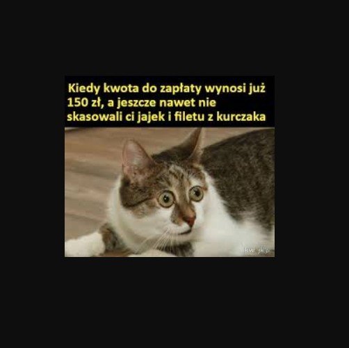 Memy o drożyźnie | Głos Wielkopolski
