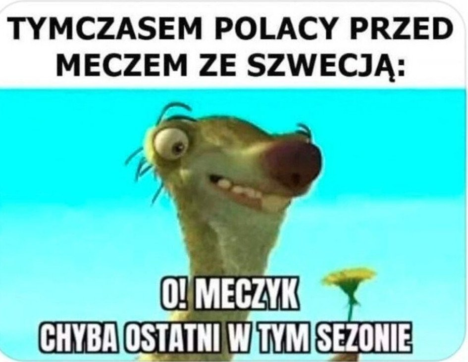 Koniec mistrzostw, do widzenia. Zobacz najlepsze memy po meczu Szwecja ...