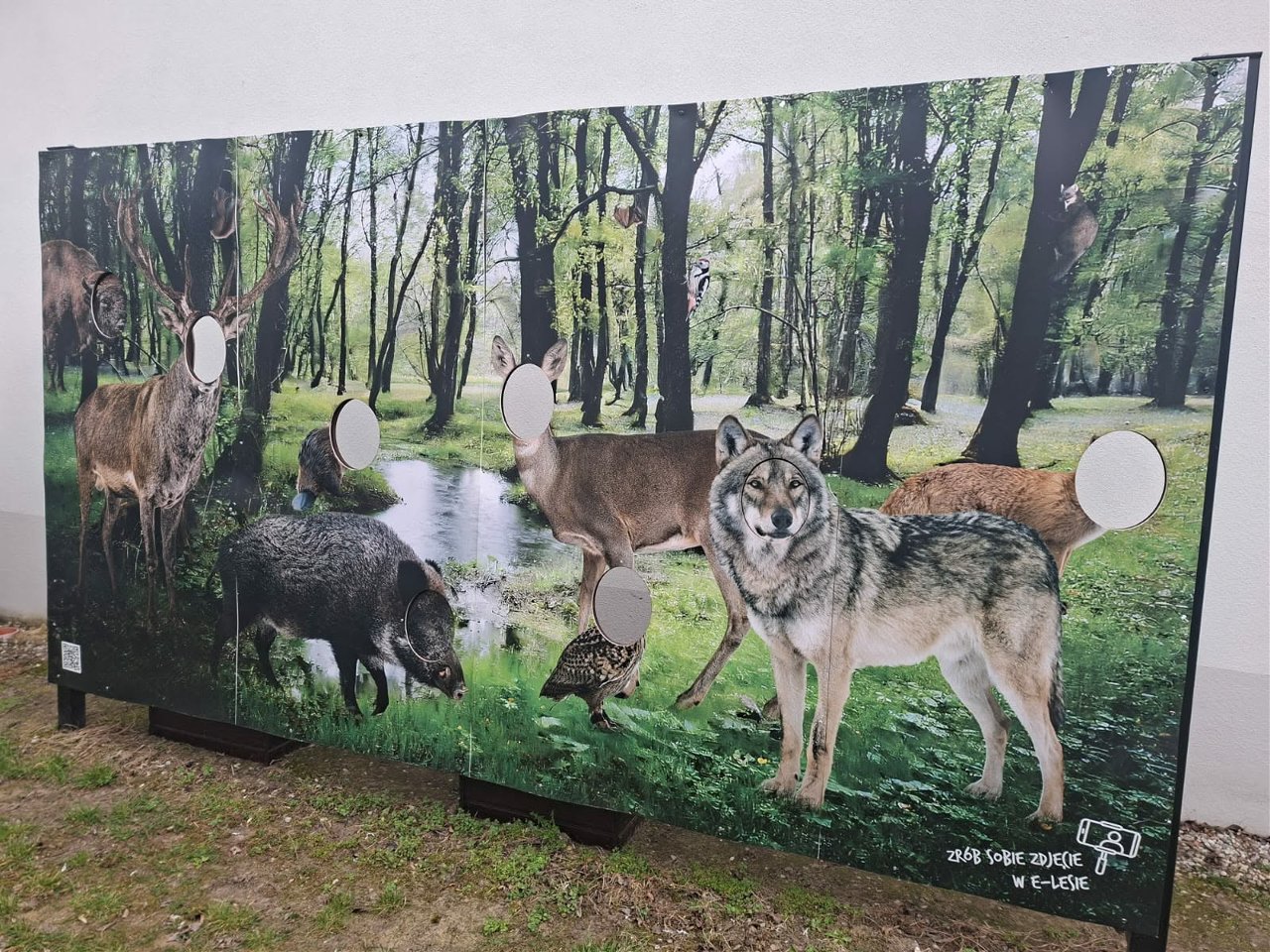 Oto jeden z najbardziej niezwykłych lasów w Wielkopolsce. Znajdziesz tu ...