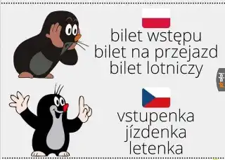 Tak wyglądają czeskie siły zbrojne? Zobacz najlepsze MEMY o Czechach ...